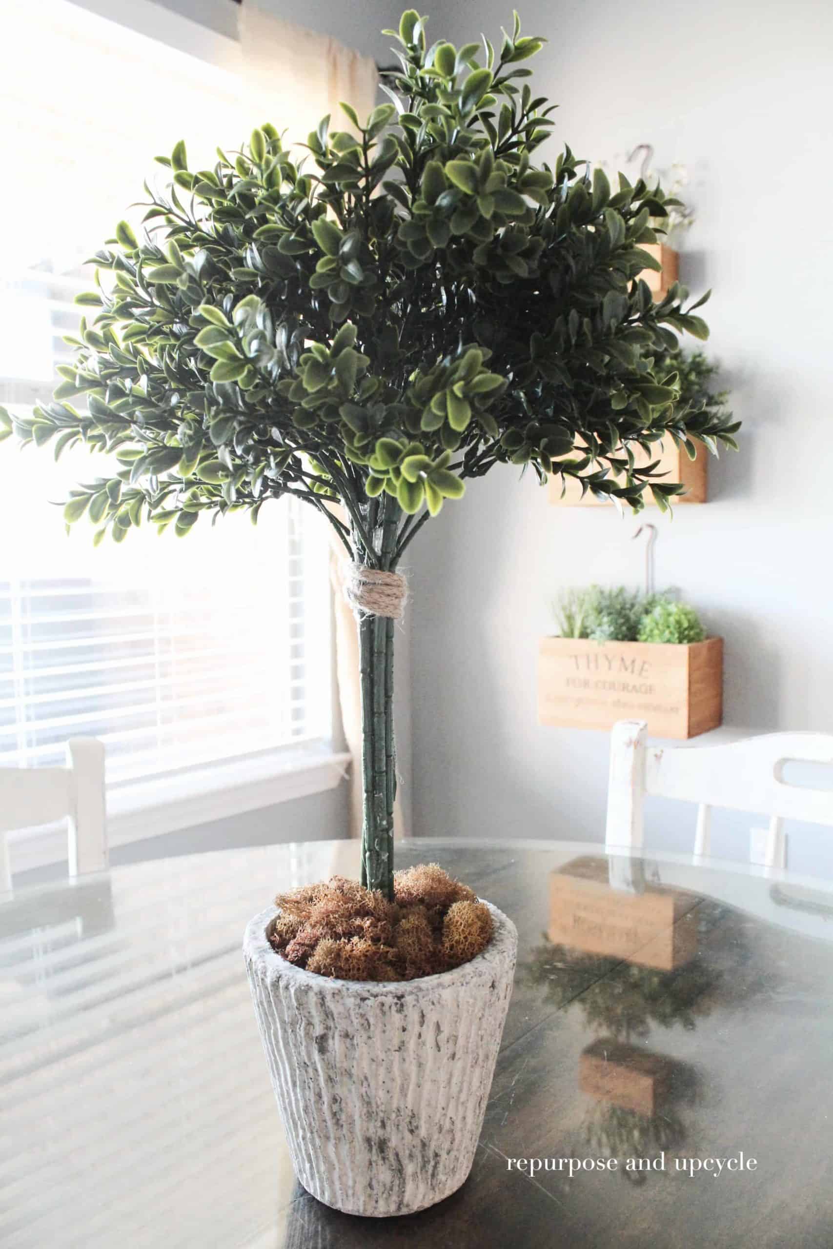DIY Topiary Trees with Boxwood Sprays