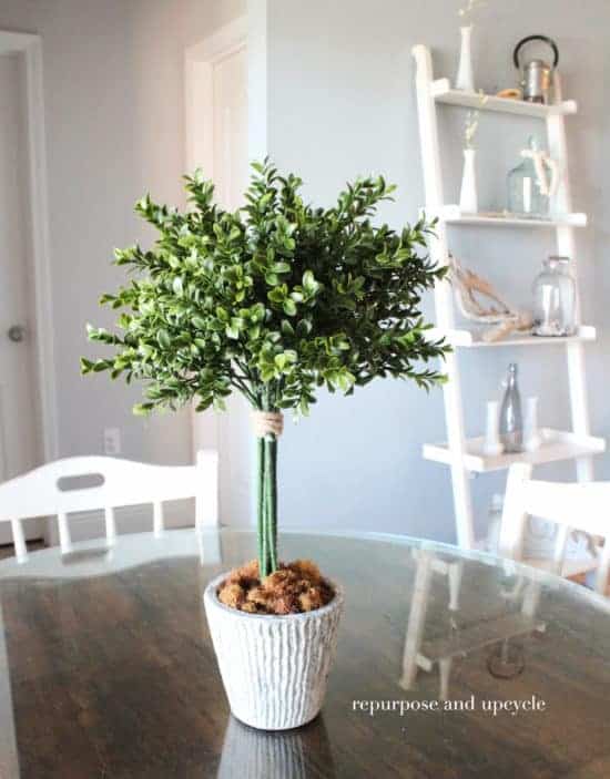 DIY Topiary Trees with Boxwood Sprays