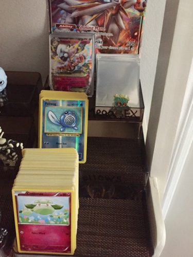 DIY Pokemon storage box