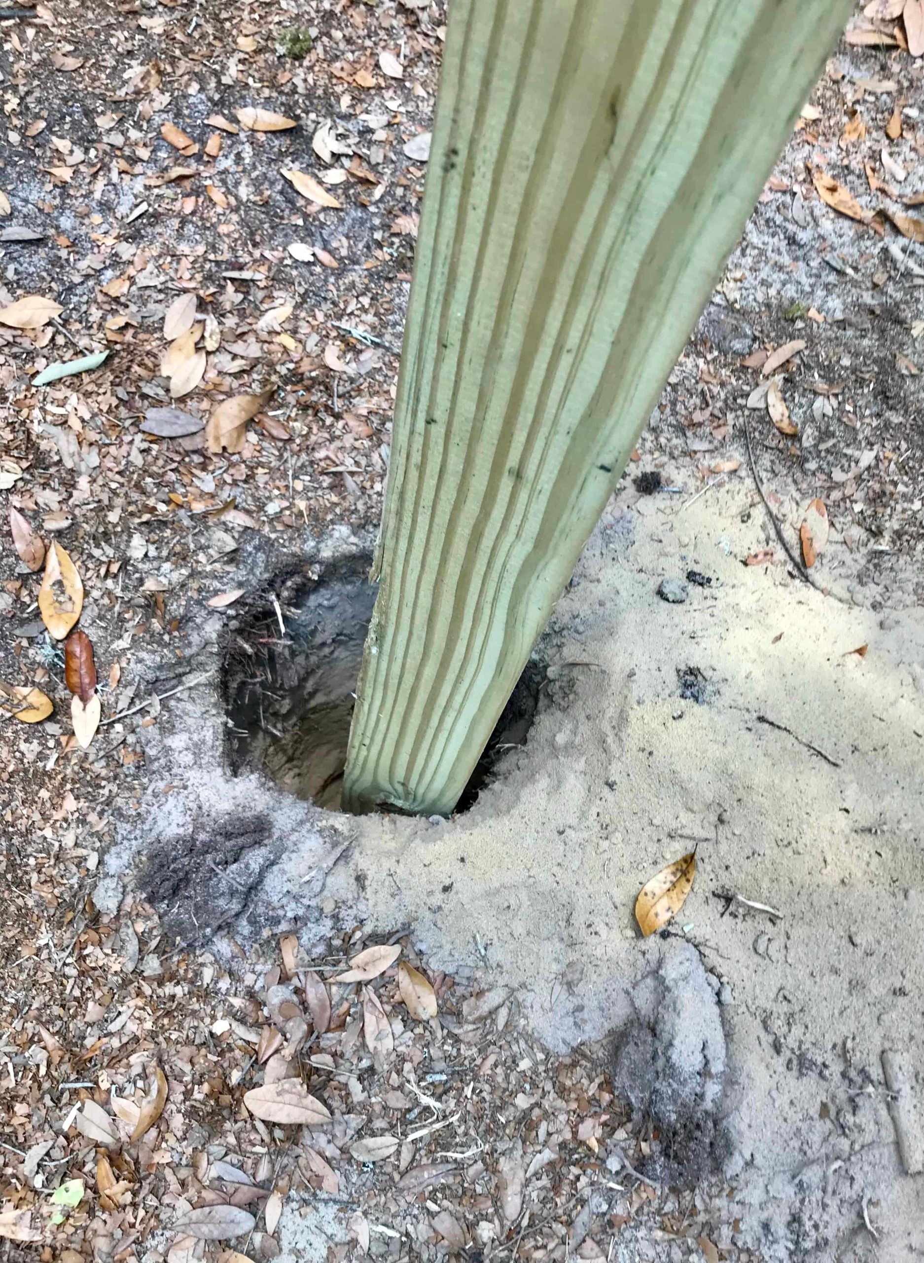 DIY Platform Tree House